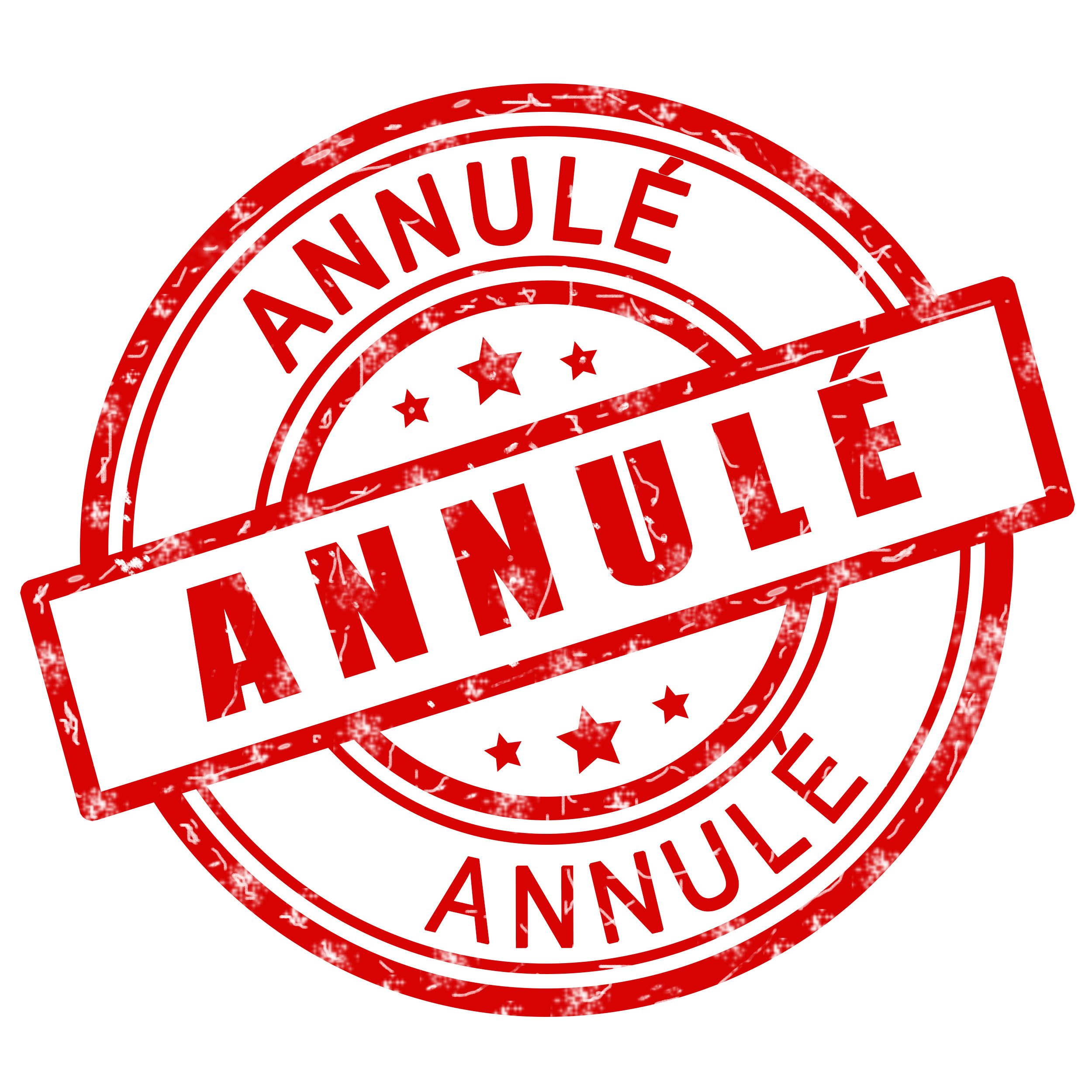 Vibez Festival au Bouveret : annulé