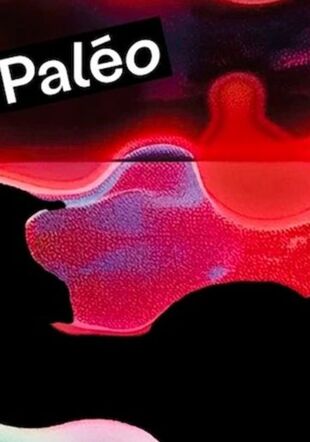 Paléo Festival Nyon : une programmation alléchante